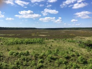 Ruterne - Danske Digterruter